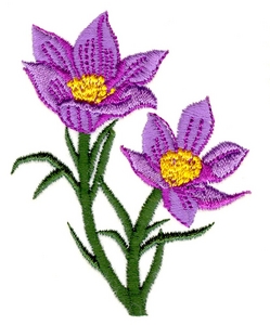 Custom Embroidery Designs By Stitchitize Manitoba Prairie Crocus