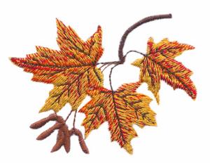 Custom Embroidery Designs By Stitchitize Wisconsin State Tree - Sugar Maple