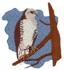 Custom Embroidery Designs By Stitchitize I'o Hawaiian Hawk
